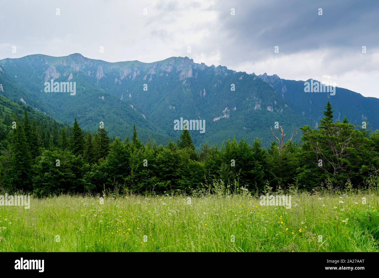 scenic landscape of sub mountain area with large open grass field and ...