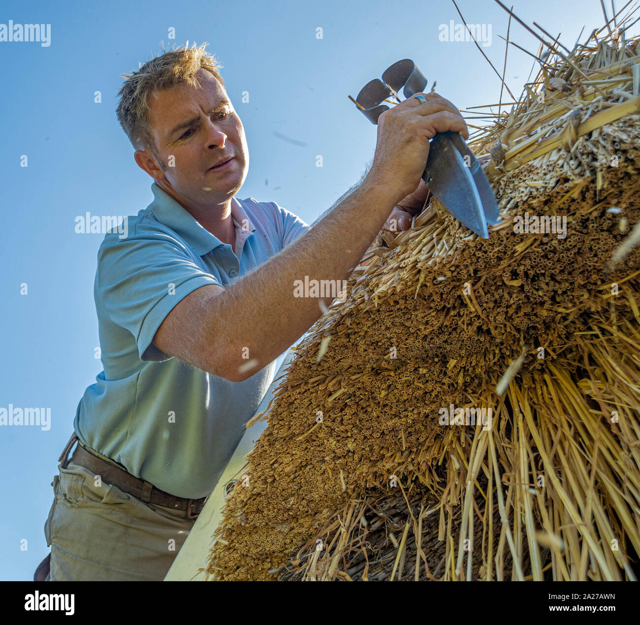 A Master Thatcher working on the roof of a village cottage repairing ...