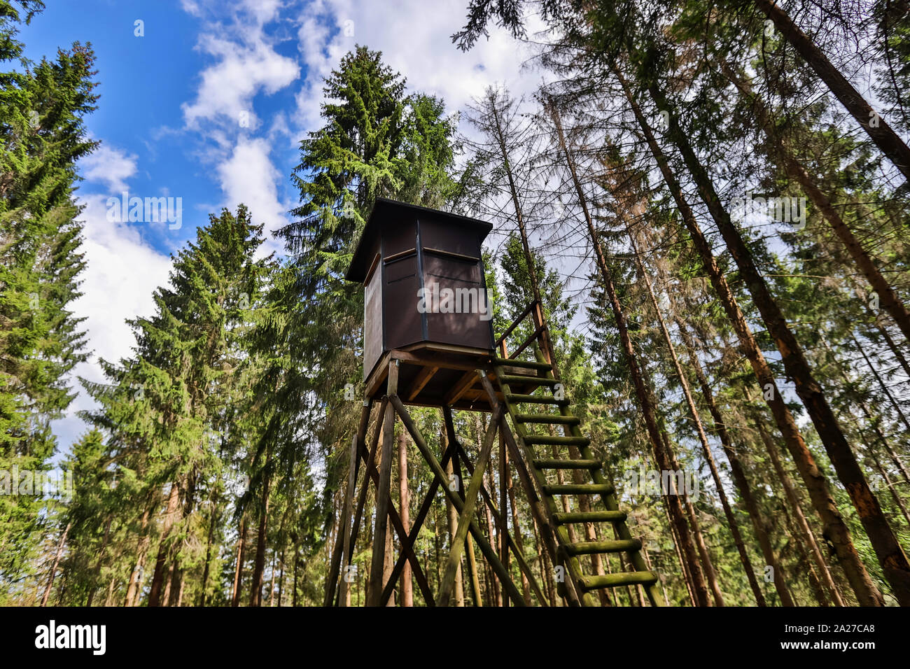 Forst scape hi-res stock photography and images - Alamy