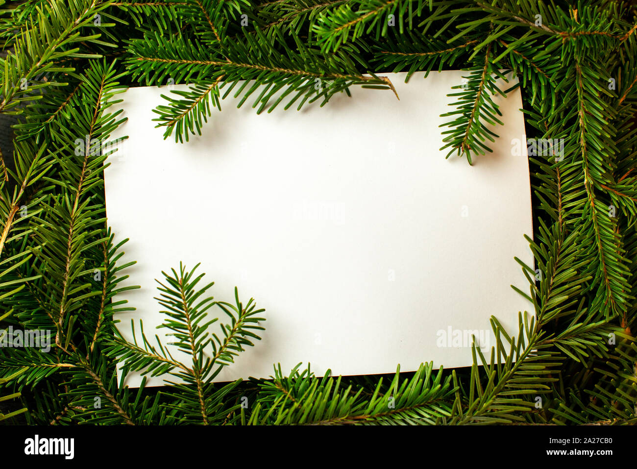 Blank card fir branches hi-res stock photography and images - Alamy