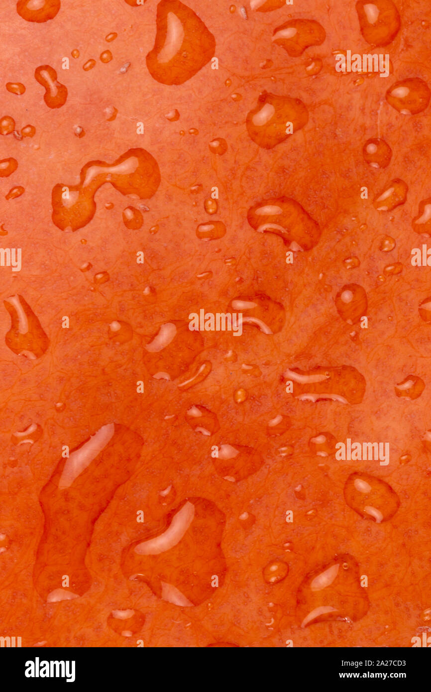 Wade symbol hi-res stock photography and images - Alamy