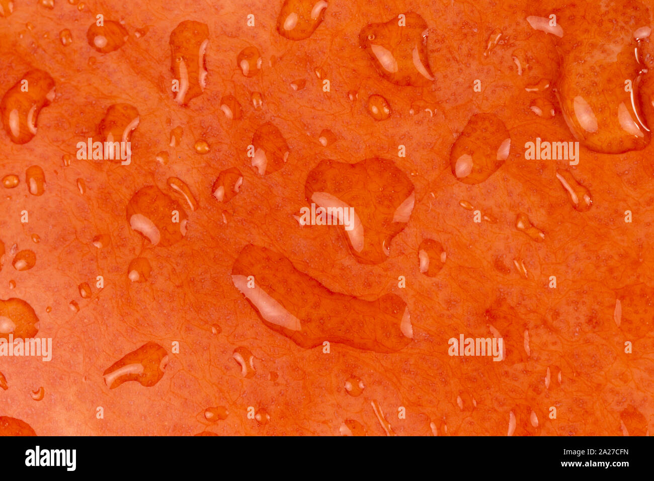 Wade symbol hi-res stock photography and images - Alamy