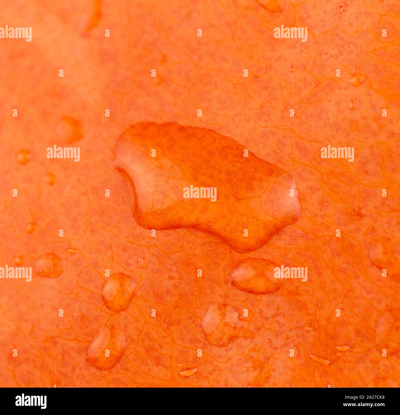 Wade symbol hi-res stock photography and images - Alamy