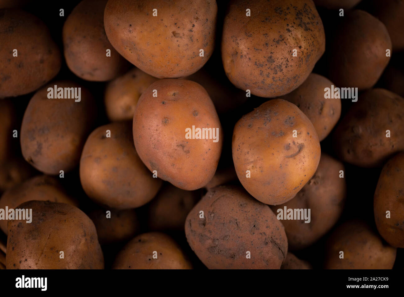 Closeup Abstract Textured Background of a fresh potato Stock Photo - Alamy