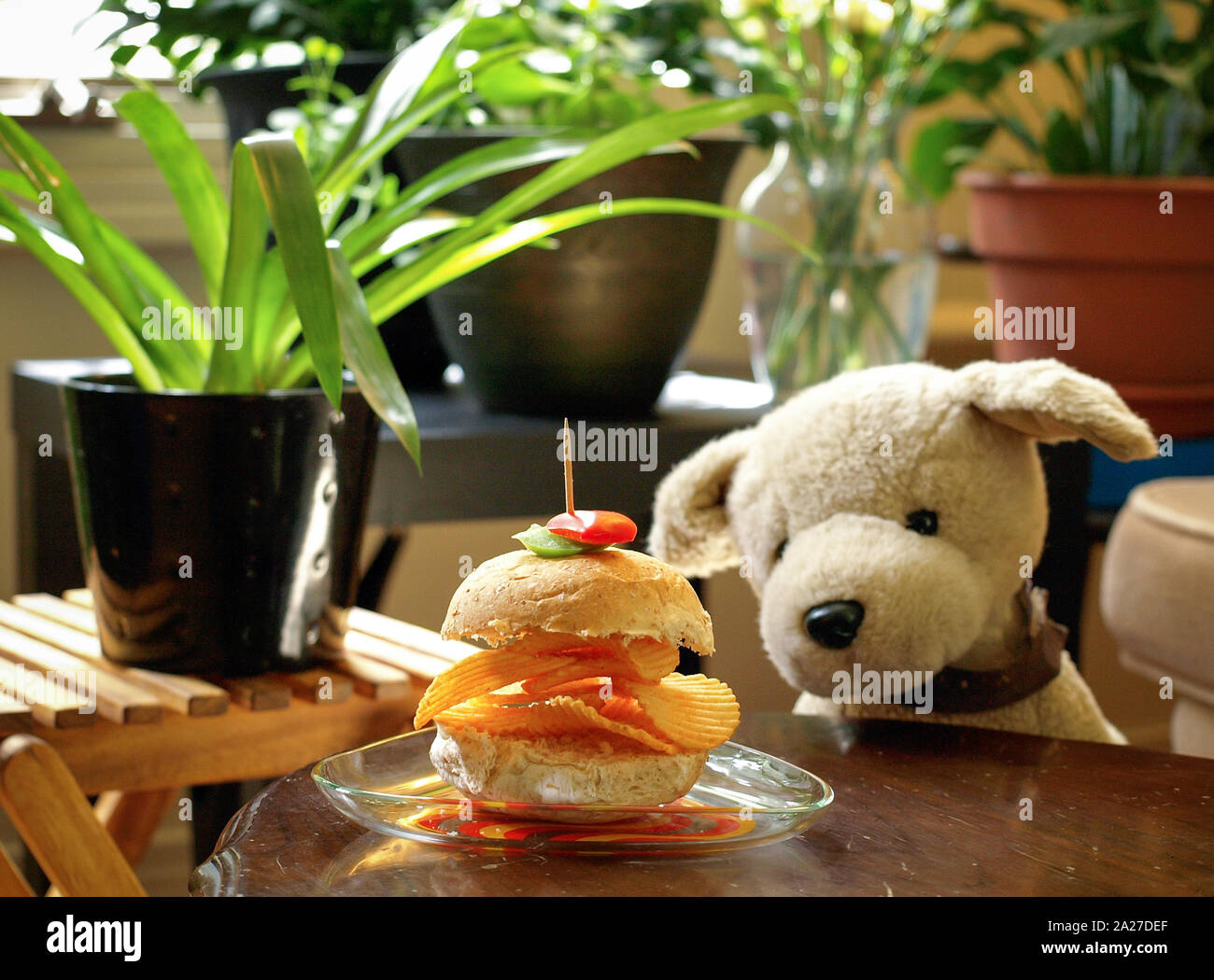 A plush dog looks at a delicious gourmet potato chip sandwich Stock ...