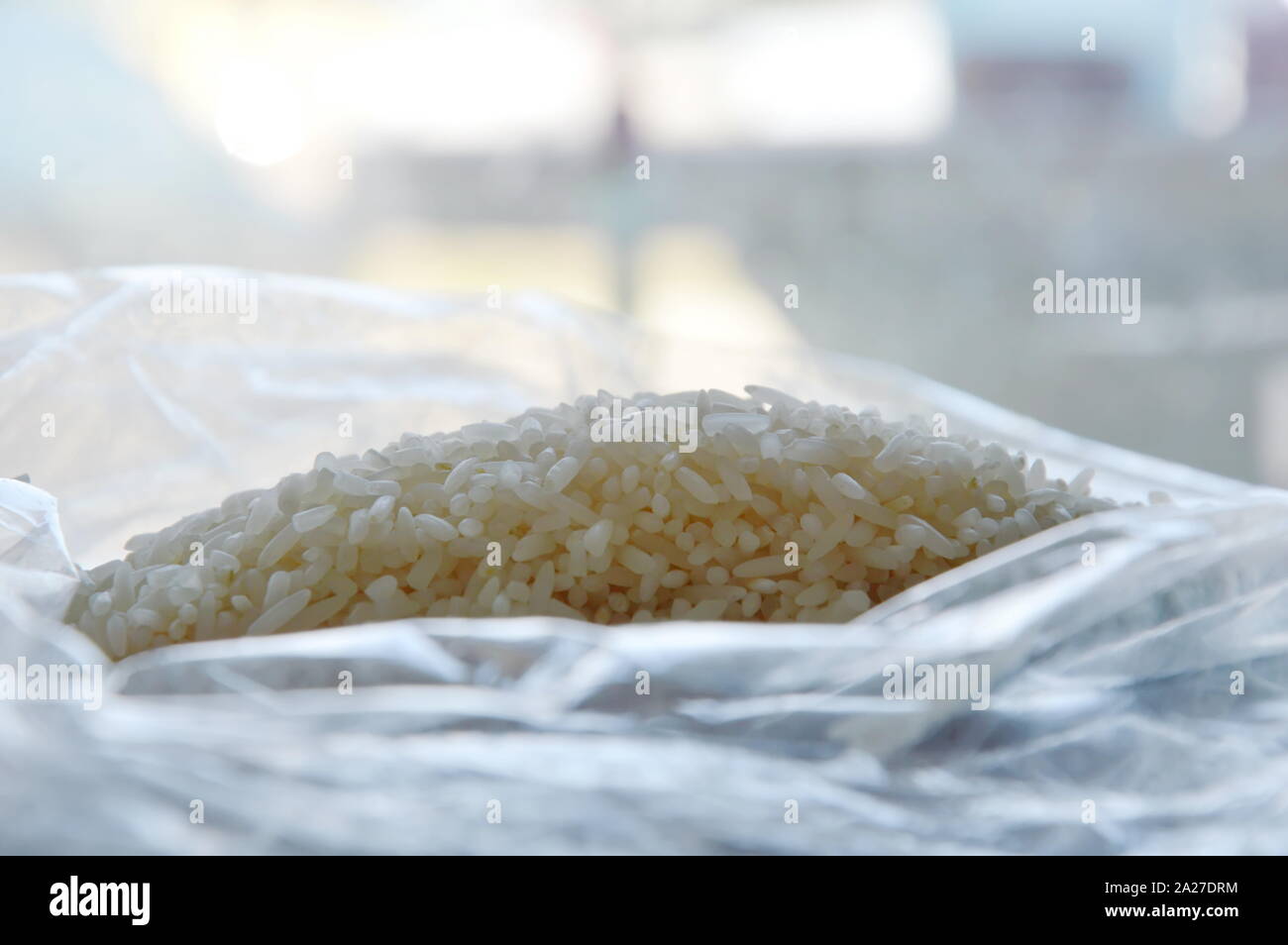 Plastic paddy hi-res stock photography and images - Alamy