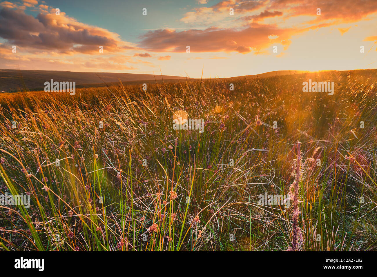 Lens flare caught from the sunset over the Peak District, close to ...