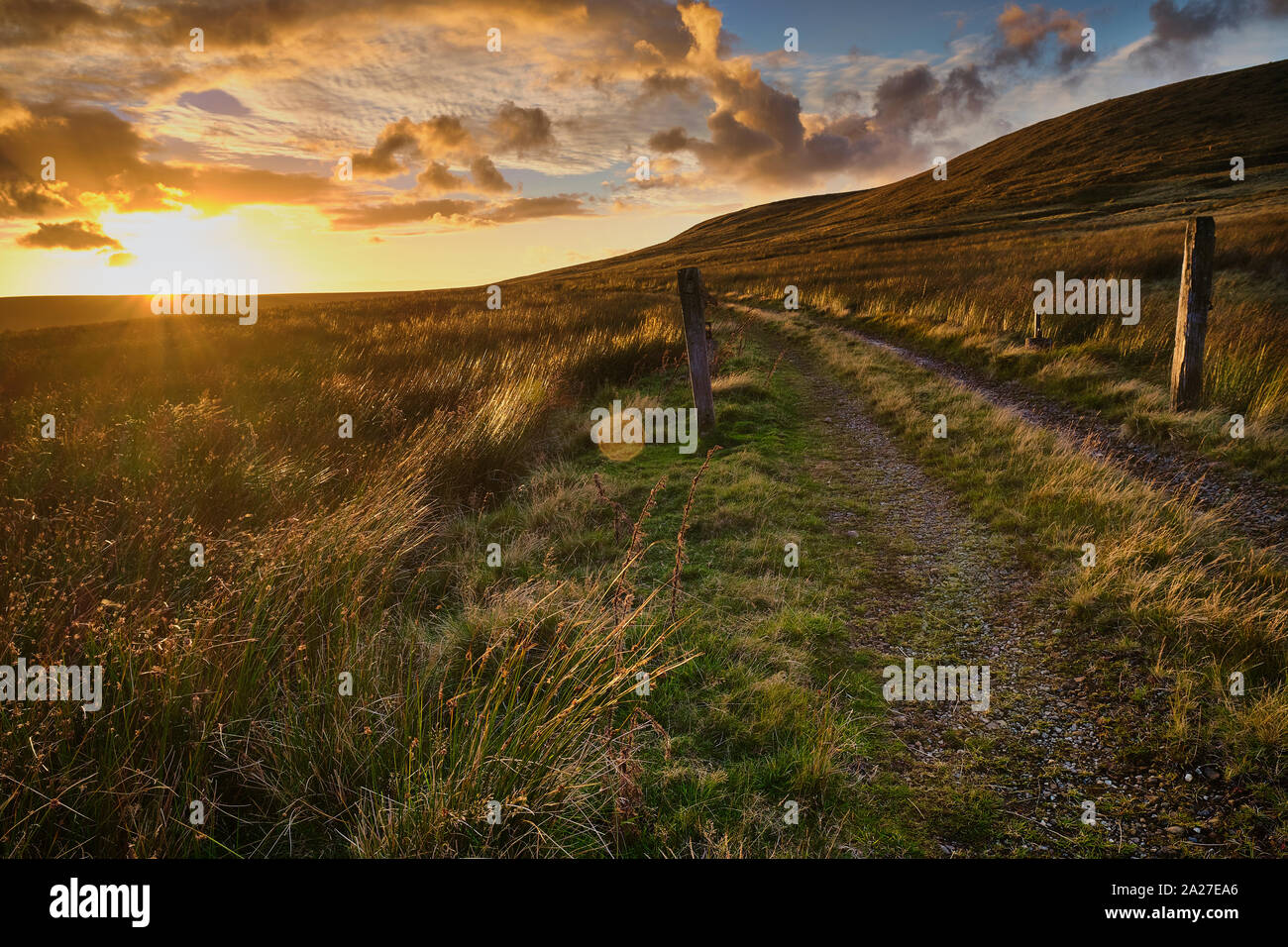 Gravel path with gate hi-res stock photography and images - Alamy