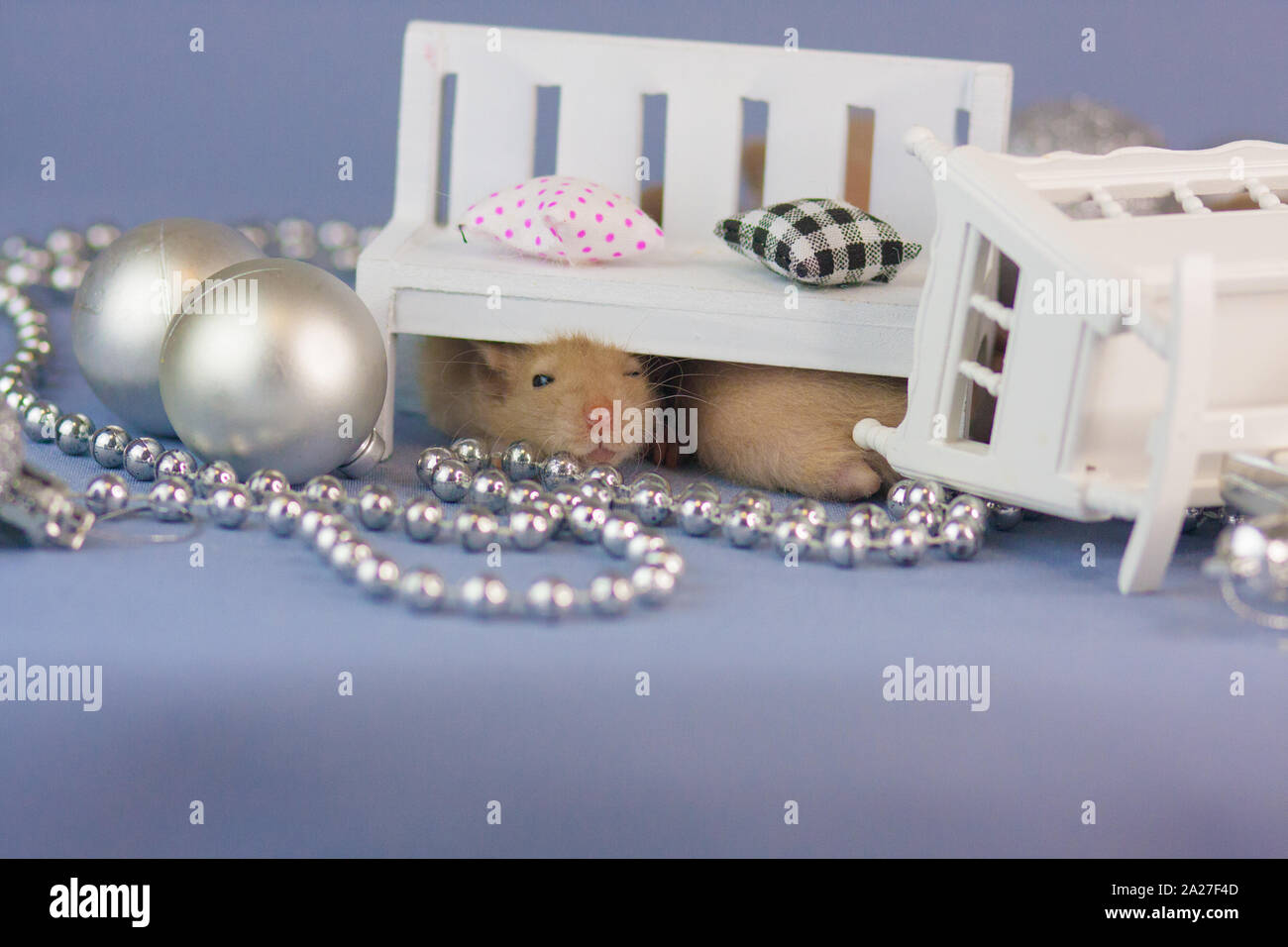 Christmas rodents on a festive background. Rats with toys. Mouse with ...