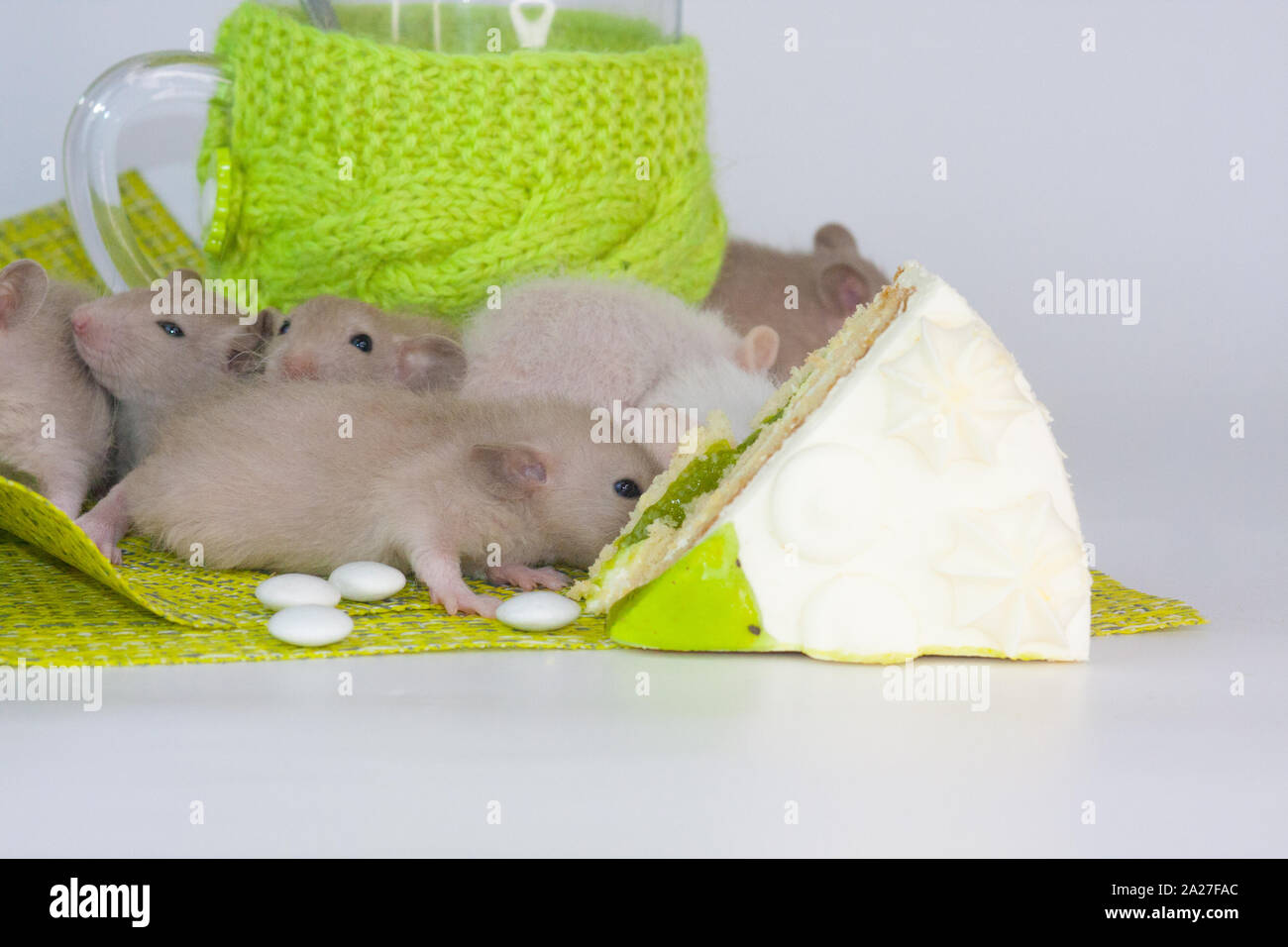 The concept of tea. Mice sit on the background of tea cups and cake ...