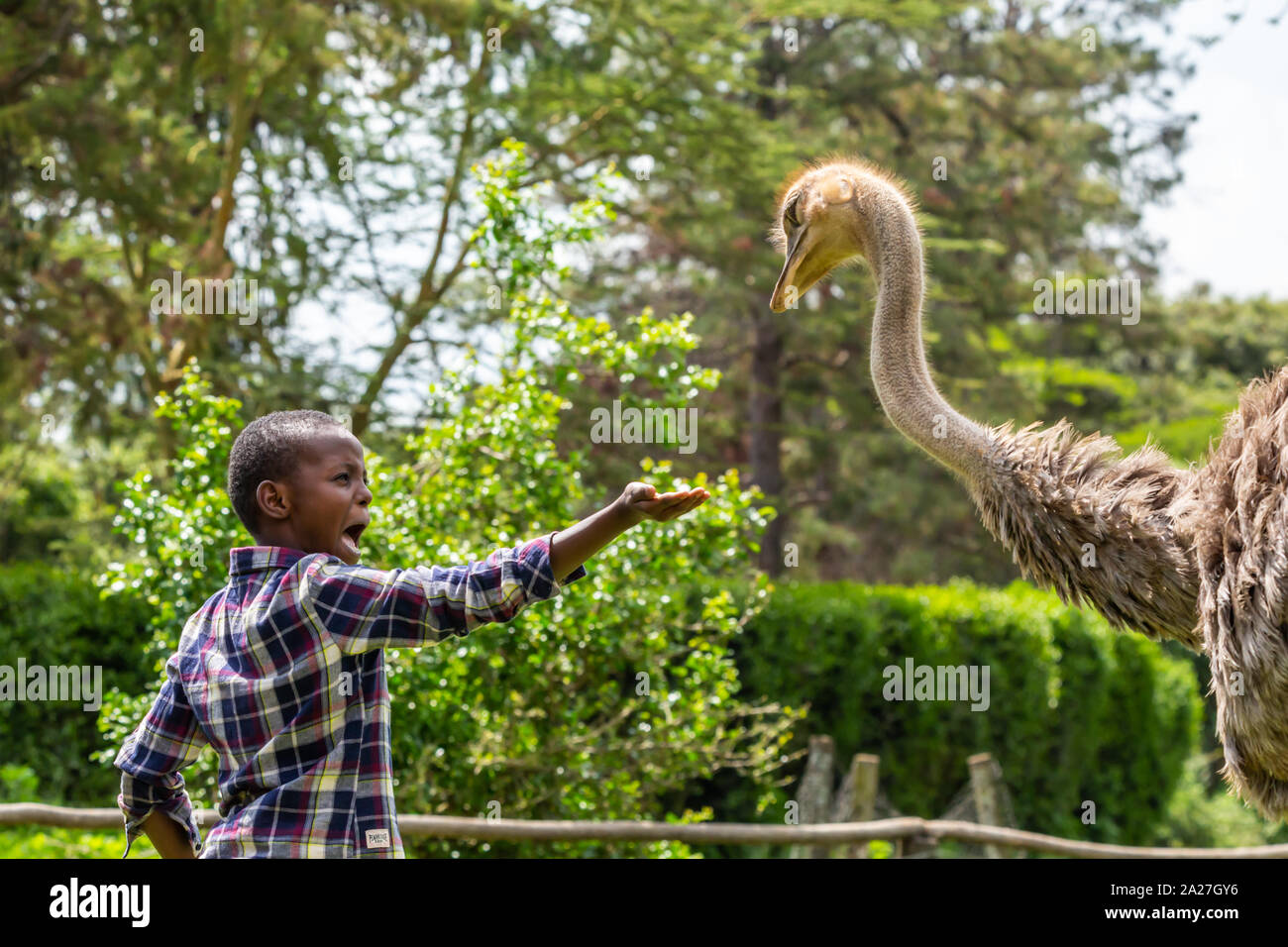 Mount Kenya Wildlife Conservancy, Nyeri county, Kenya – June 19th, 2019 ...