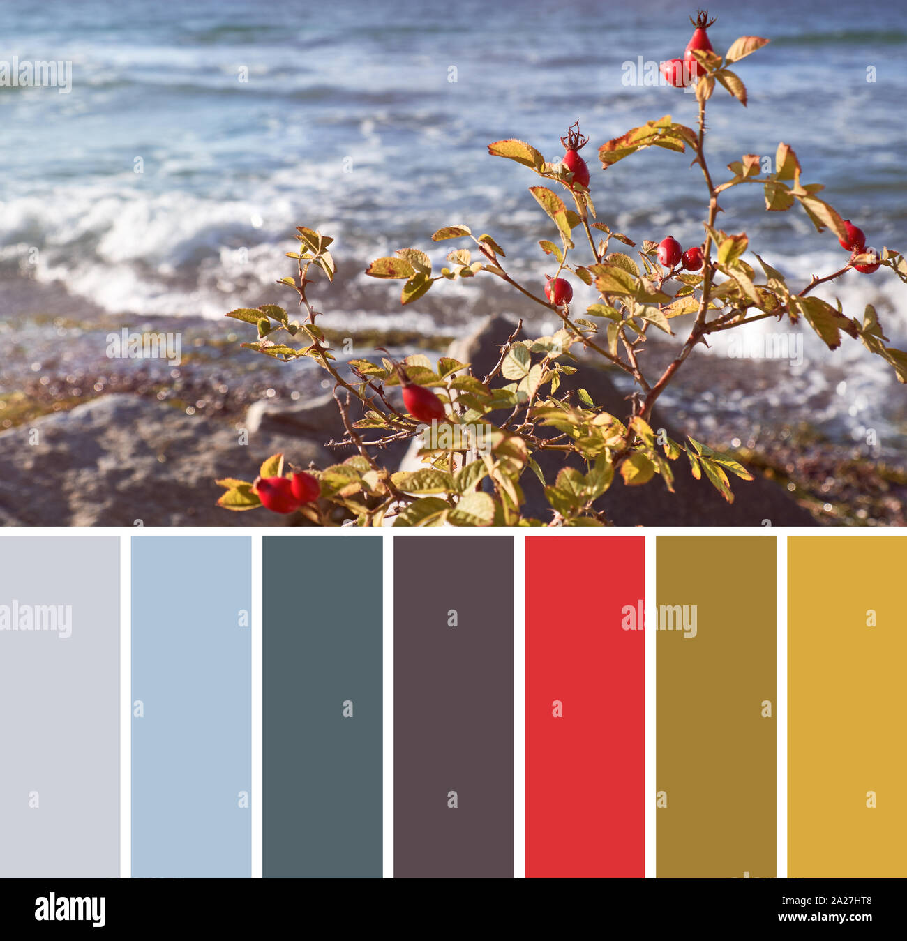 Red and blue color scheme hi-res stock photography and images - Alamy