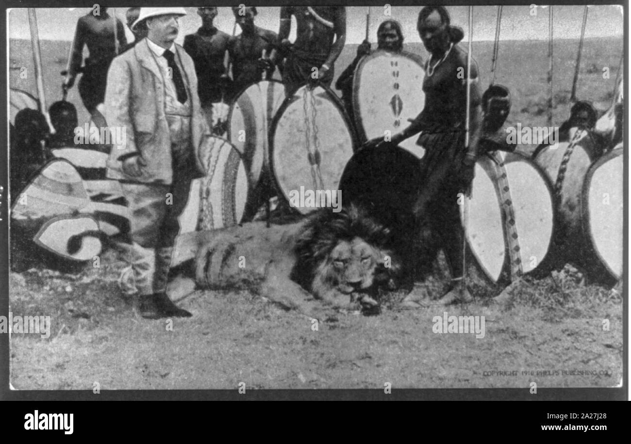 Pres theodore roosevelt hi-res stock photography and images - Alamy