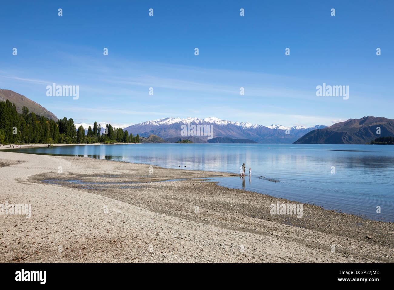Lake Wanaka shoreline, Roys Bay, Wanaka, New Zealand Stock Photo - Alamy