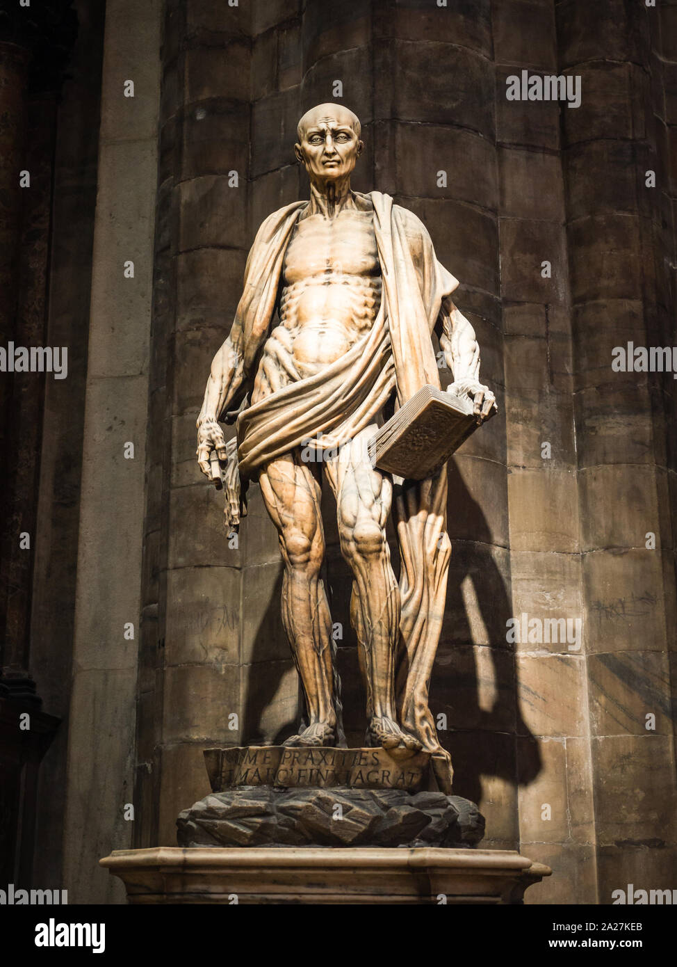 Flayed skin hi-res stock photography and images - Alamy