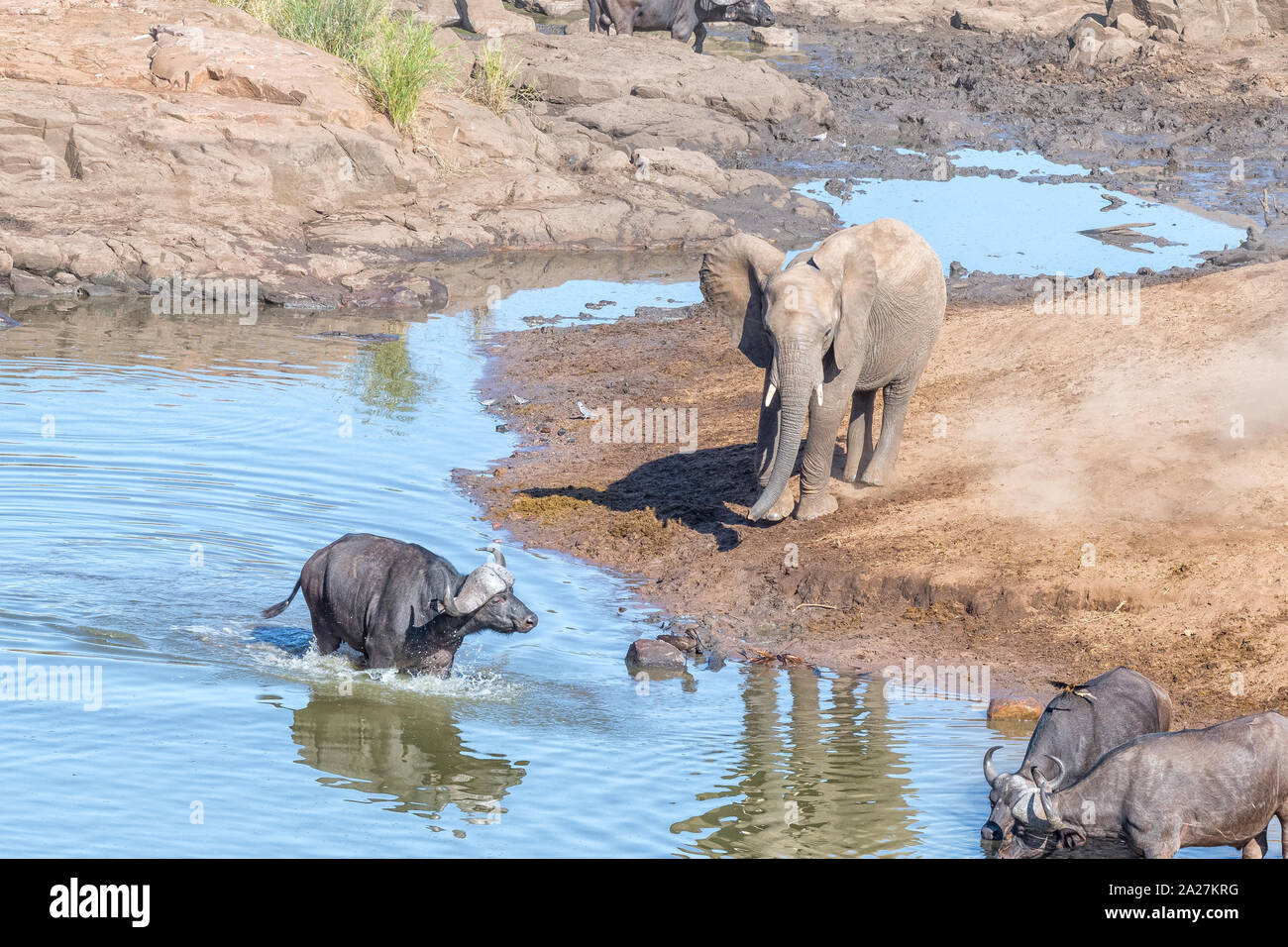 Mphongolo river hi-res stock photography and images - Alamy