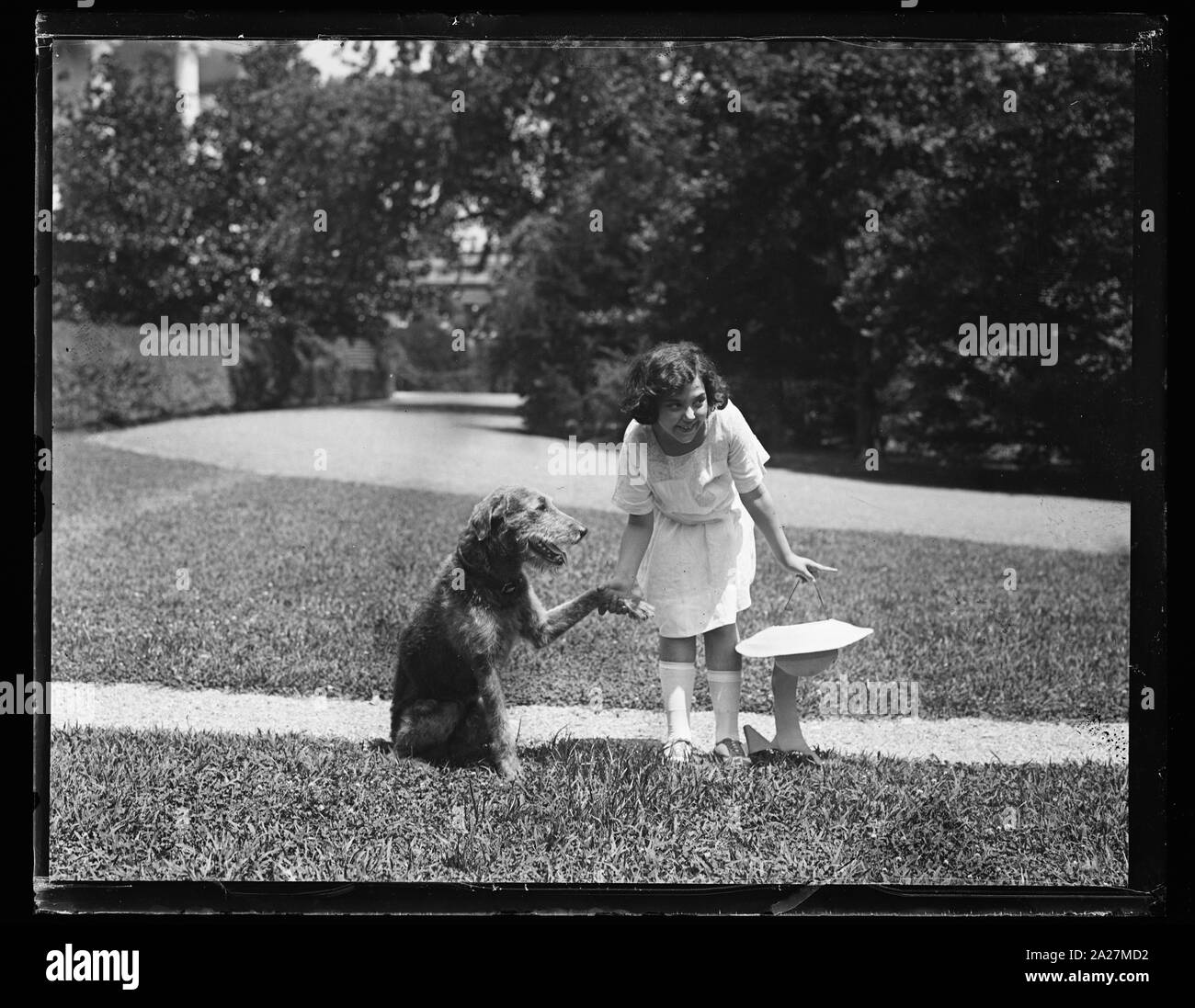 President Harding's dog Laddie Boy White House, Washington, D.C Stock ...