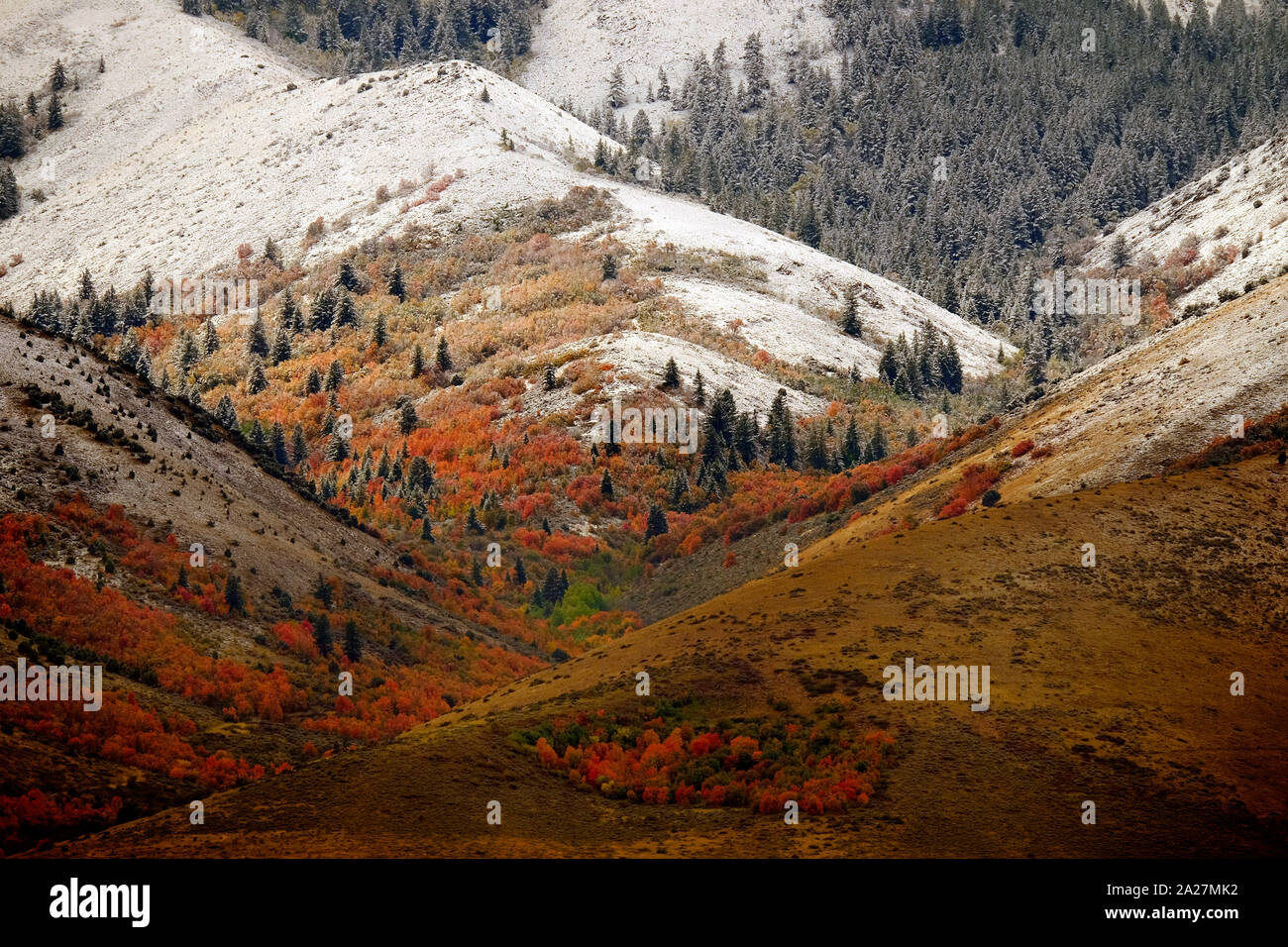 Mountain landscape in late fall with autumn tree colors and first snow ...