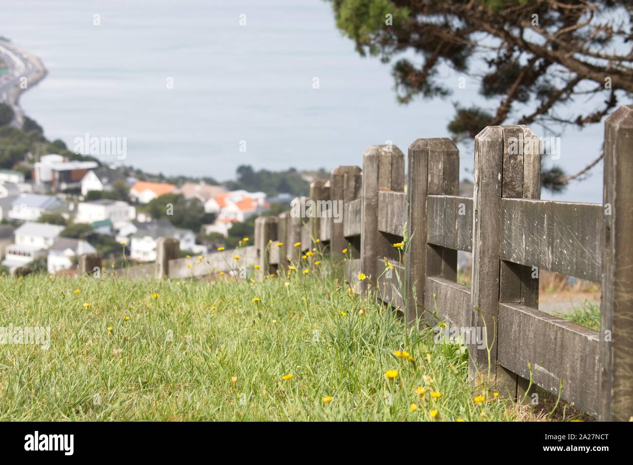 Fence leading down to the bay, Wellington, New Zealand Stock Photo - Alamy
