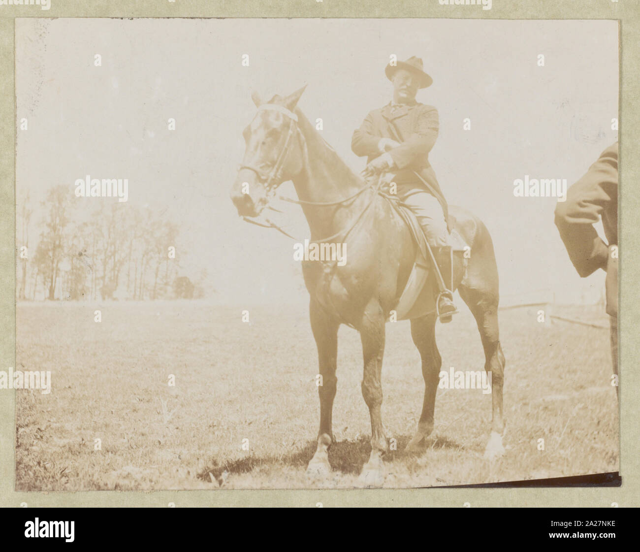 President Roosevelt on his horse Renown Stock Photo - Alamy