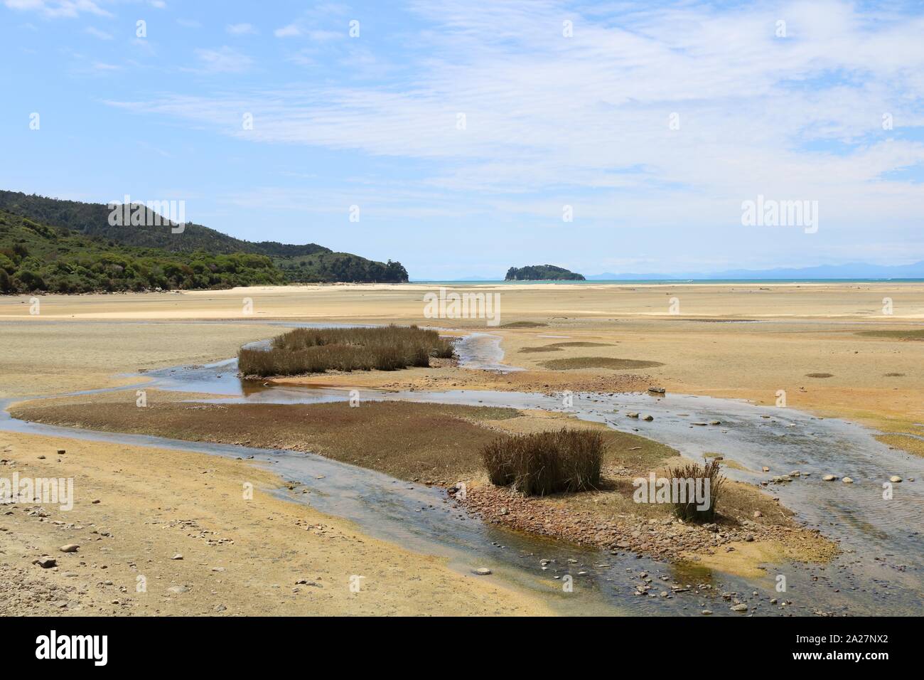 Estuary with reeds and water channels, Abel Tasman, New Zealand. Taken ...