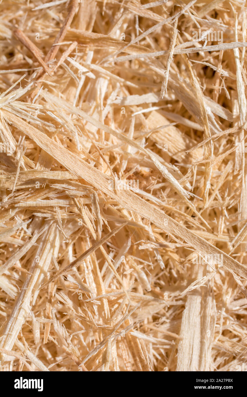 Papermaking hi-res stock photography and images - Alamy