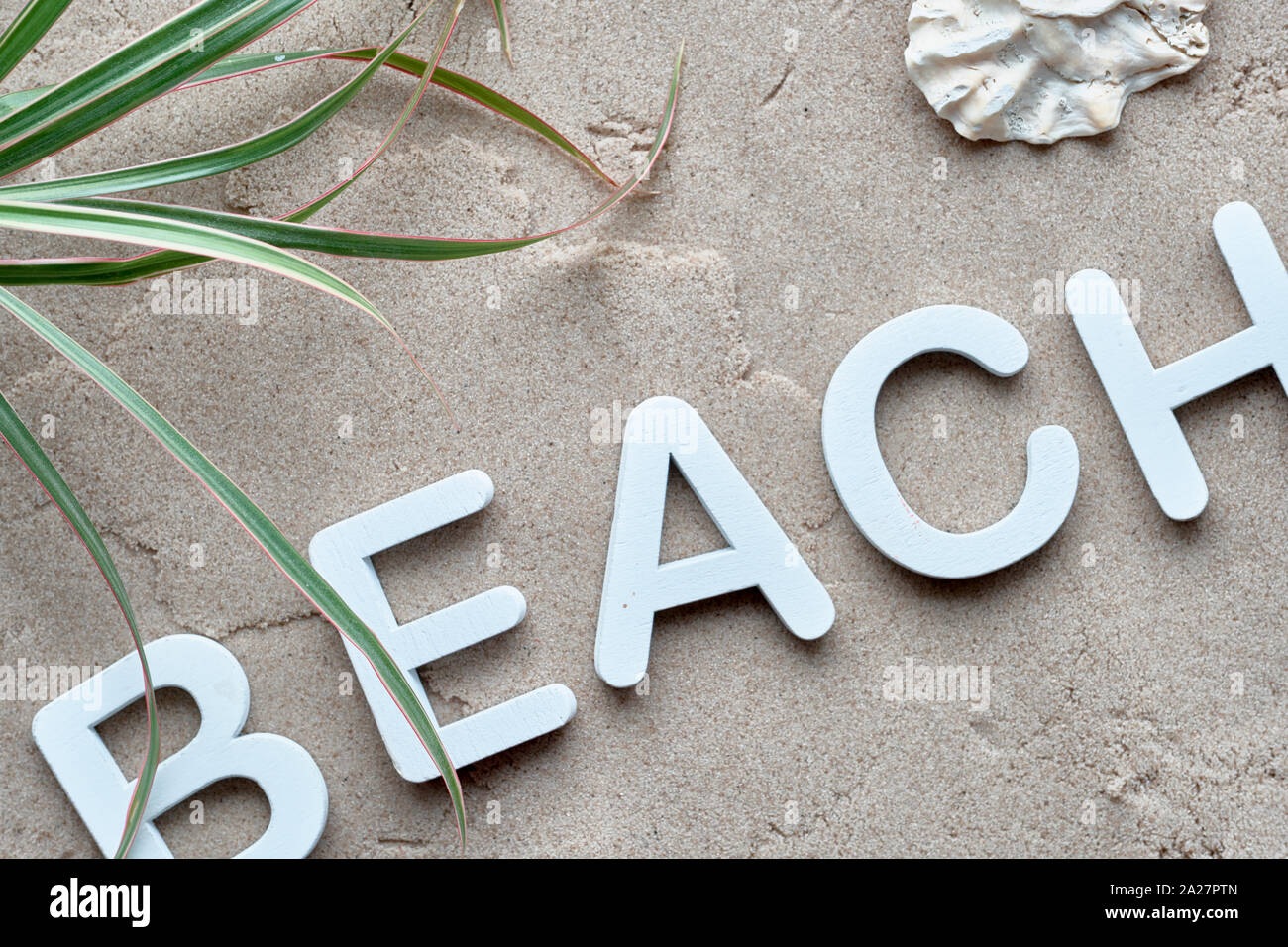 Decorative wooden letters "beach" on wet sand with palm leaves. Sand ...