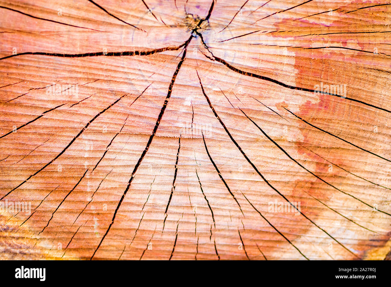Rustic tree trunk as a background Stock Photo - Alamy