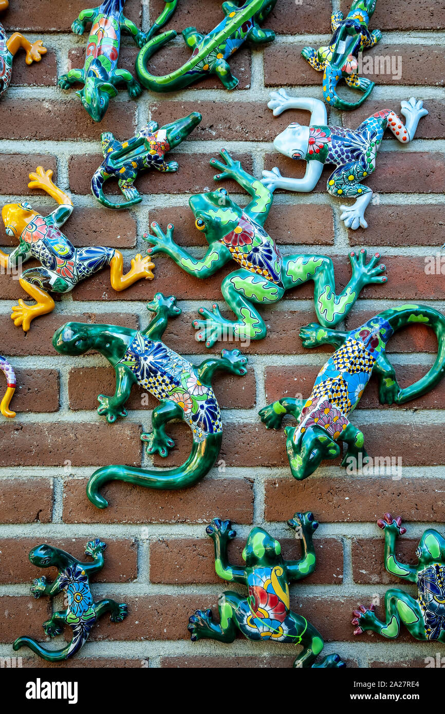 Lizards of mexico hi-res stock photography and images - Alamy