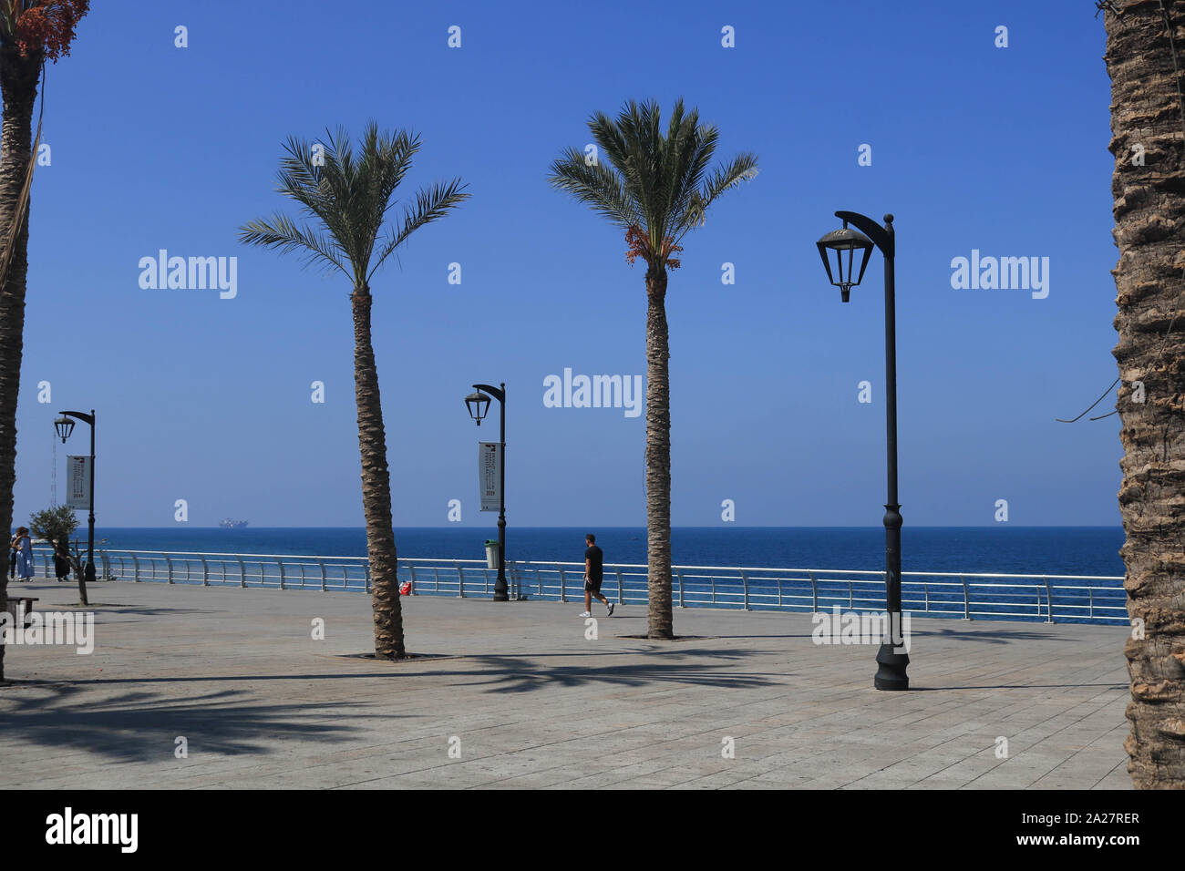 Beirut palm trees hi-res stock photography and images - Alamy