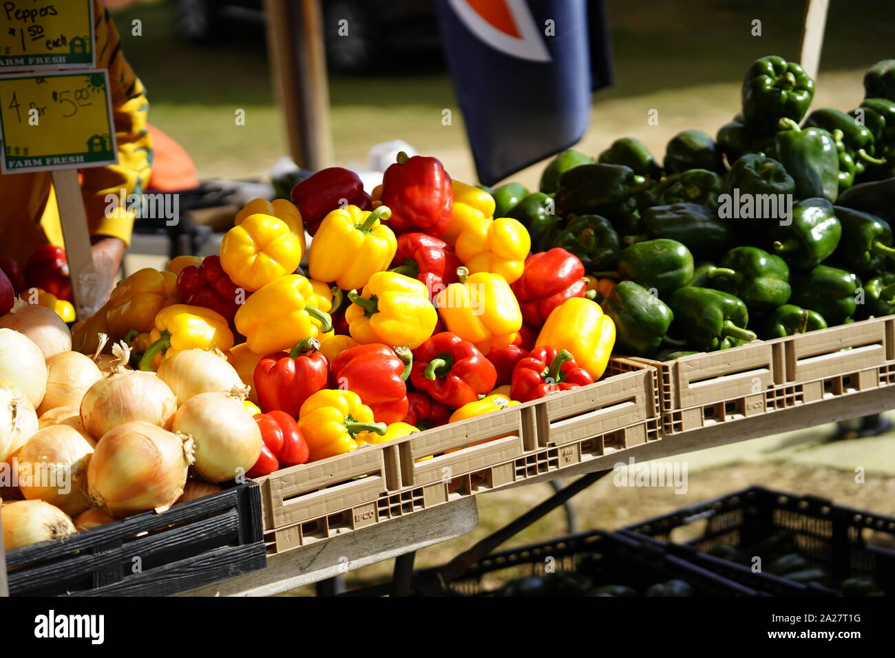Warrens cranberry festival hi-res stock photography and images - Alamy