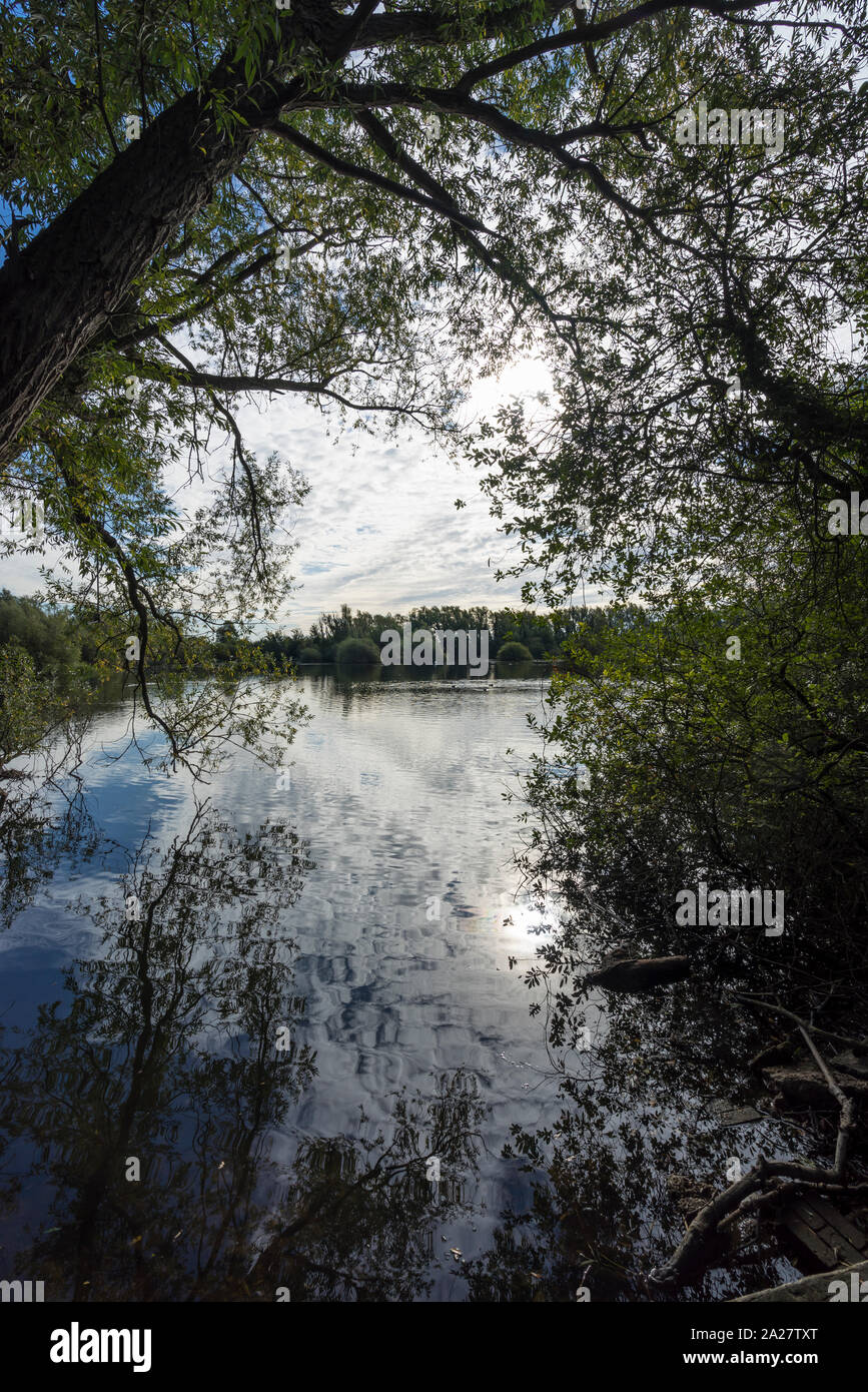 Sun sky clouds through tree hi-res stock photography and images - Alamy