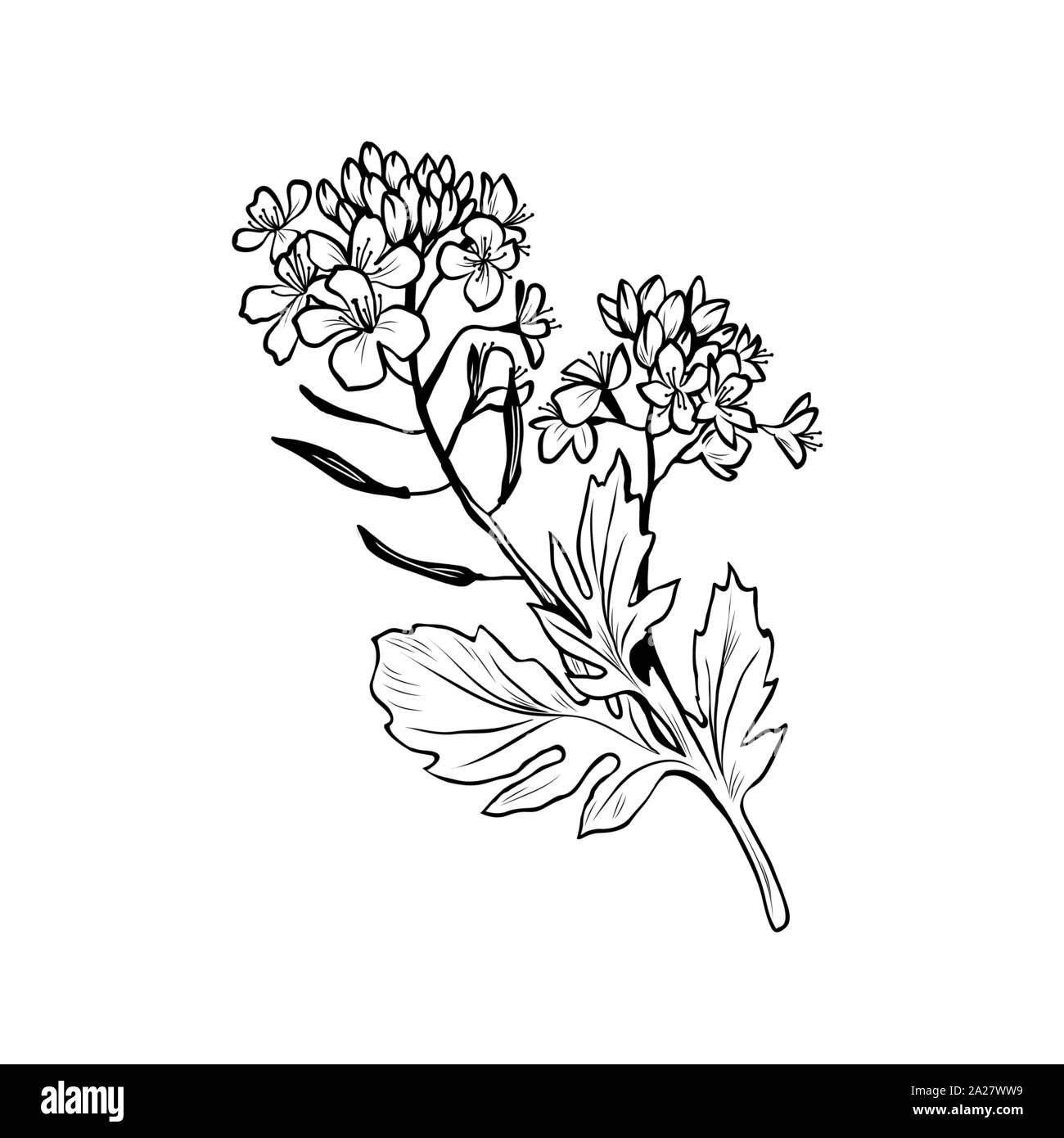 Ink yellow engraving Cut Out Stock Images & Pictures - Alamy