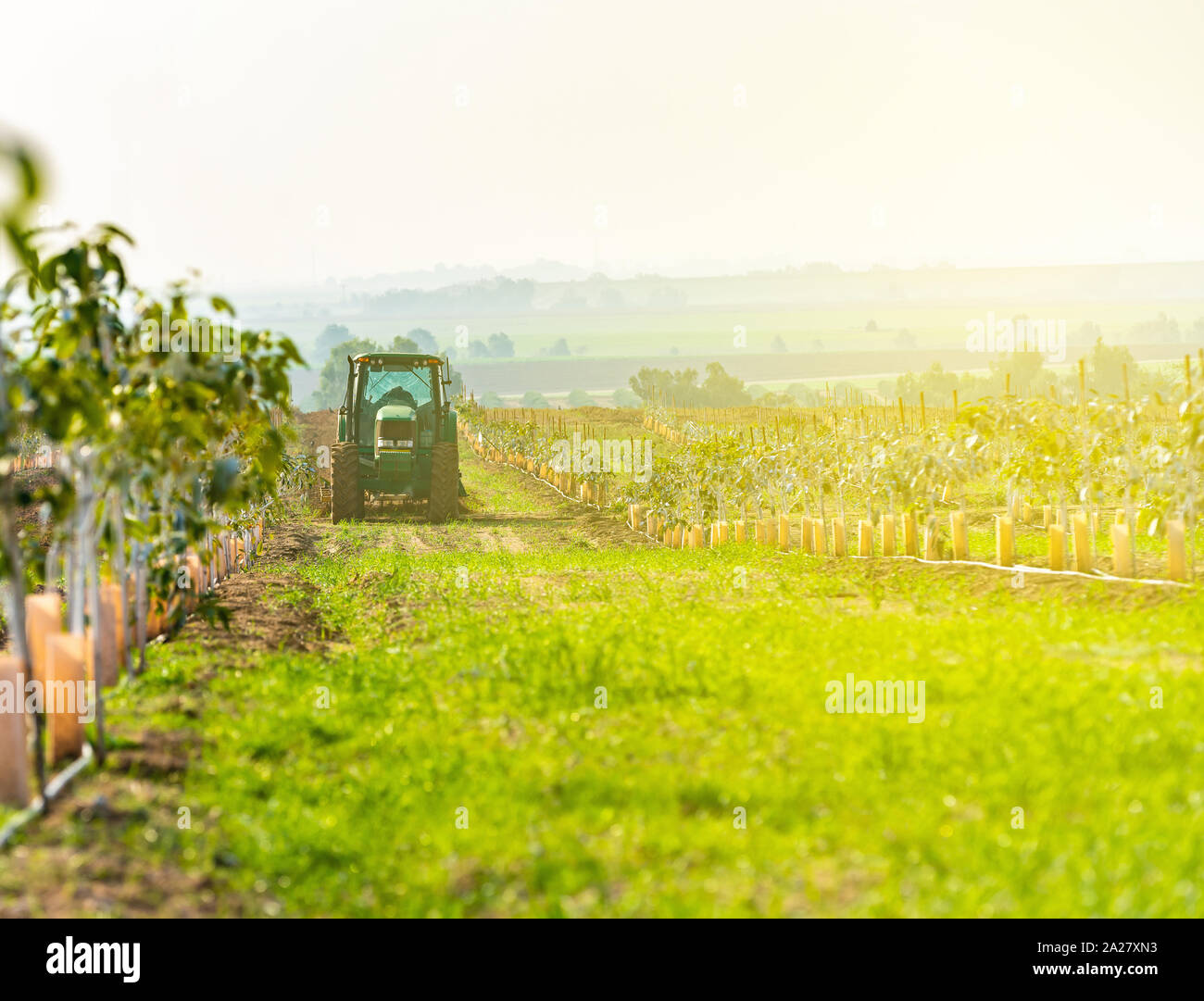 rural landscape, tractor cultivates agricultural land Stock Photo - Alamy