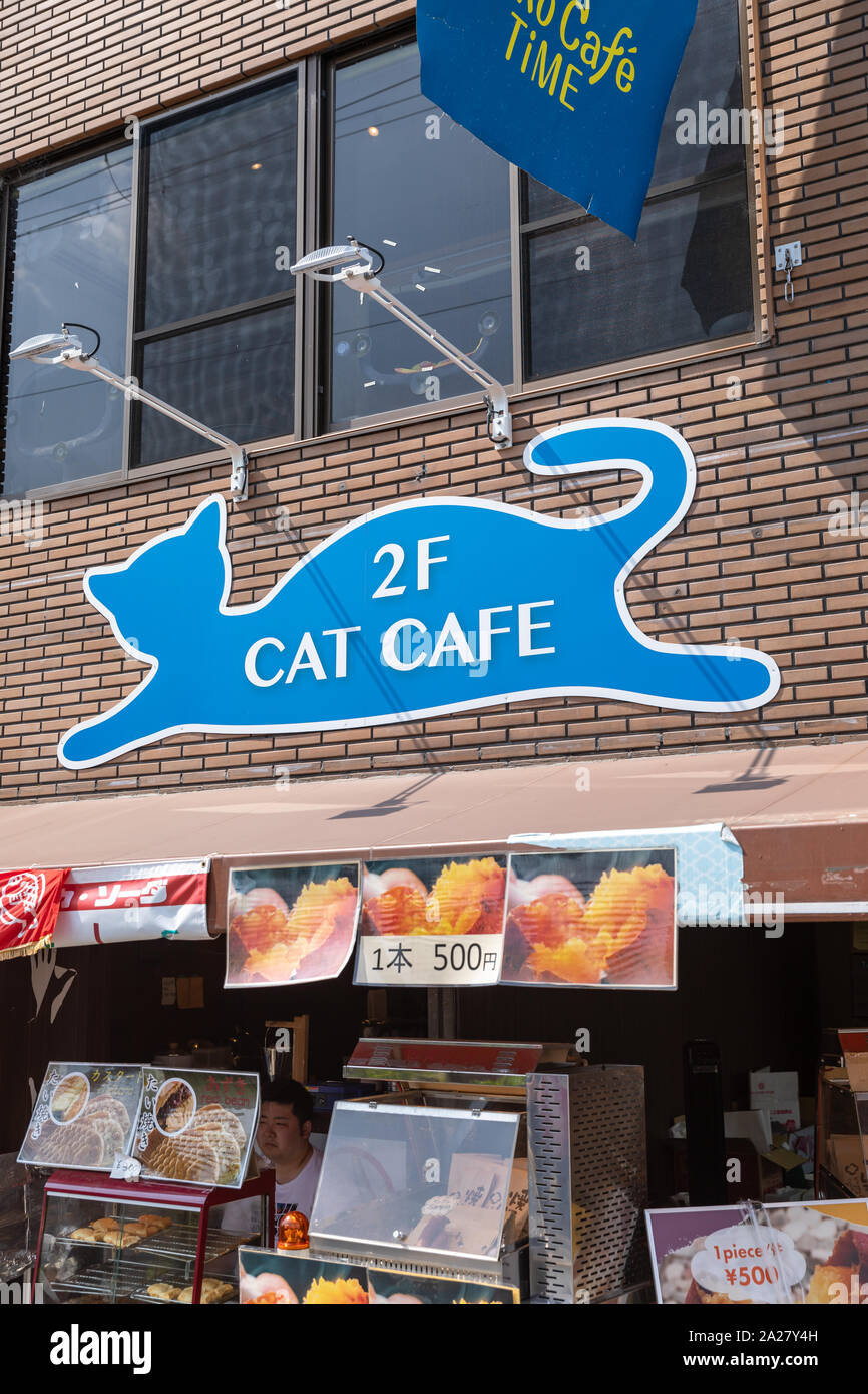 Cat cafe sign hi-res stock photography and images - Alamy