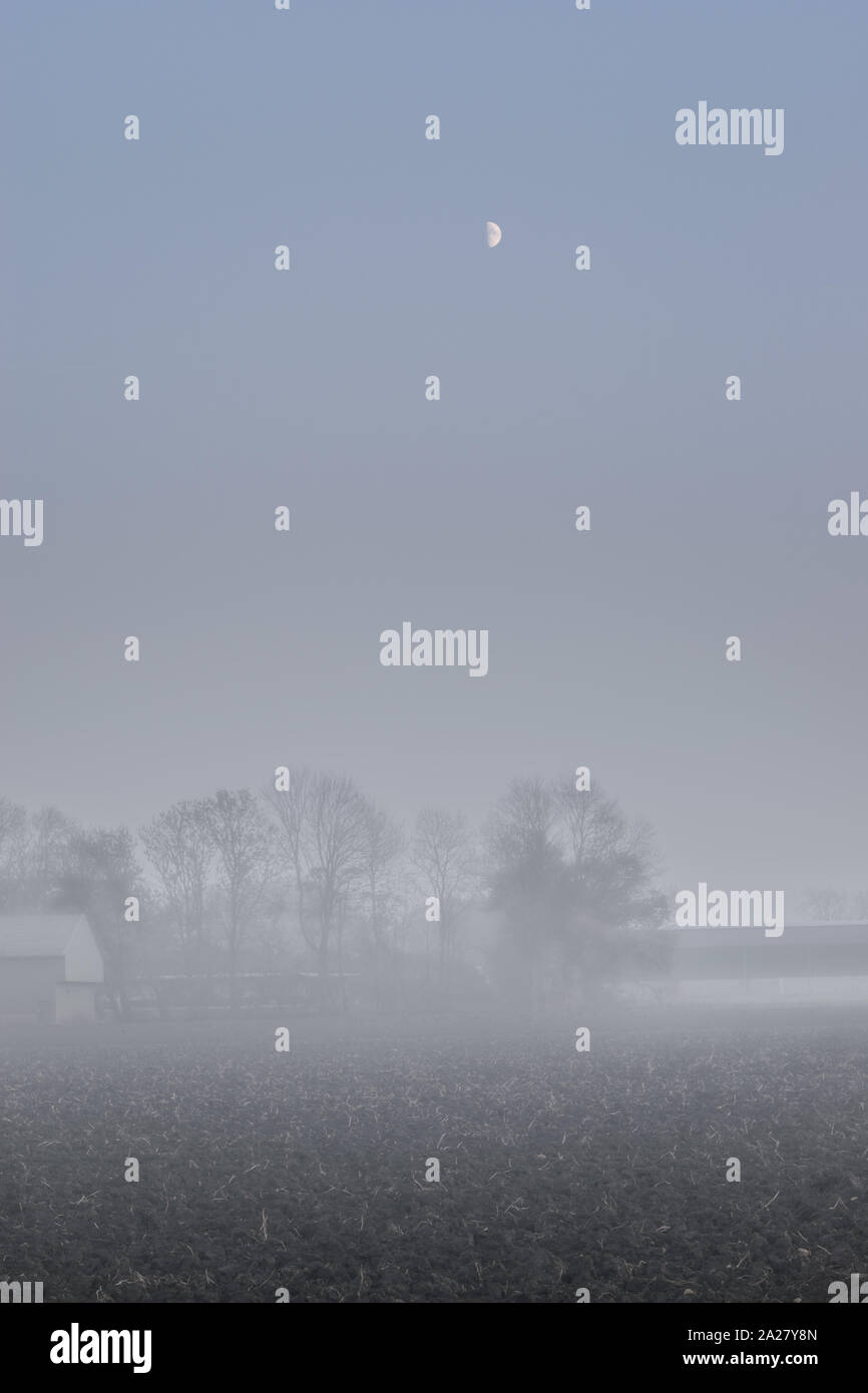 Fog over the dutch countryside with the moon visible in the sky Stock ...