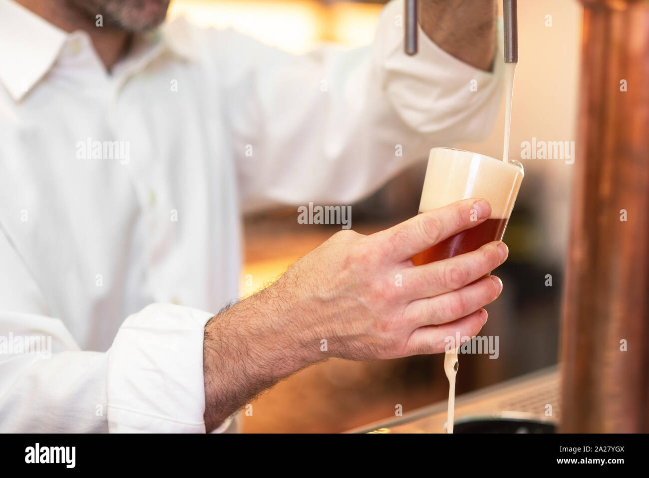 Pouring beer for client. Bartender pouring beer while standing at the ...