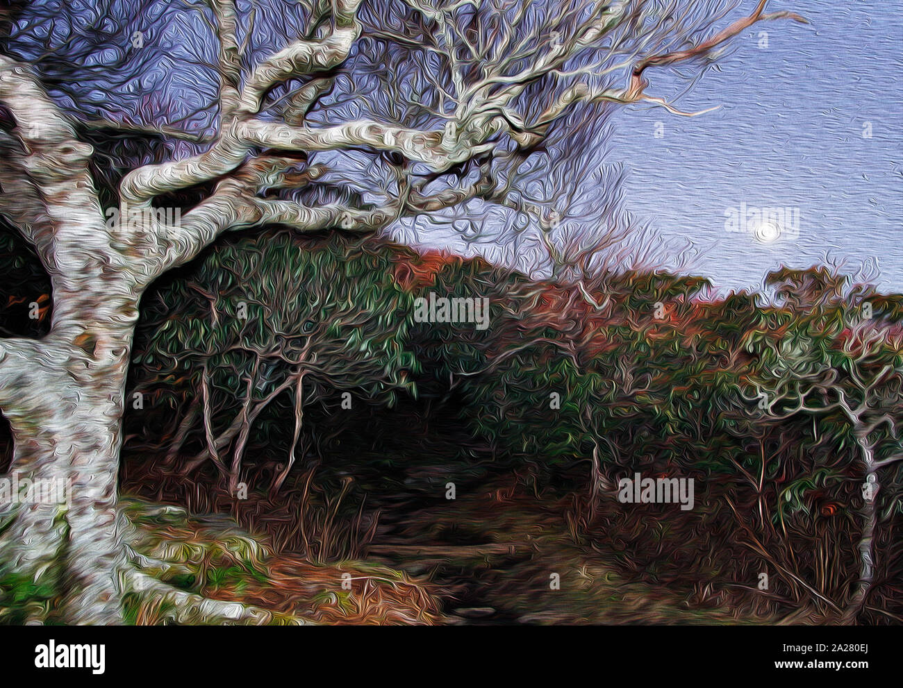 An abstract blurry landscape photo manipulation Stock Photo - Alamy