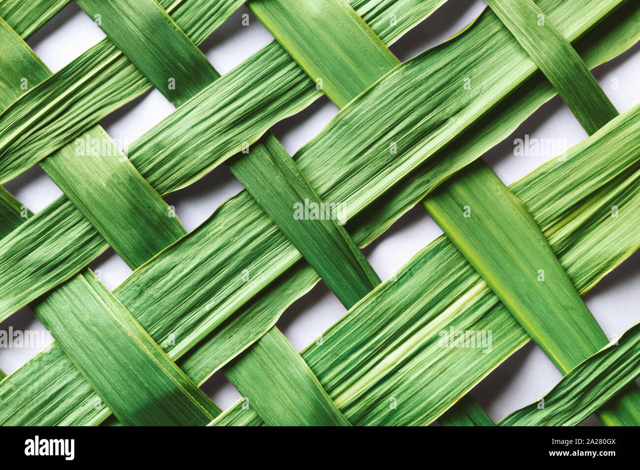 Bamboo Leaves Texture