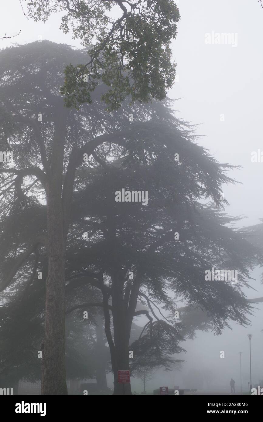 Exeter crematorium hi-res stock photography and images - Alamy