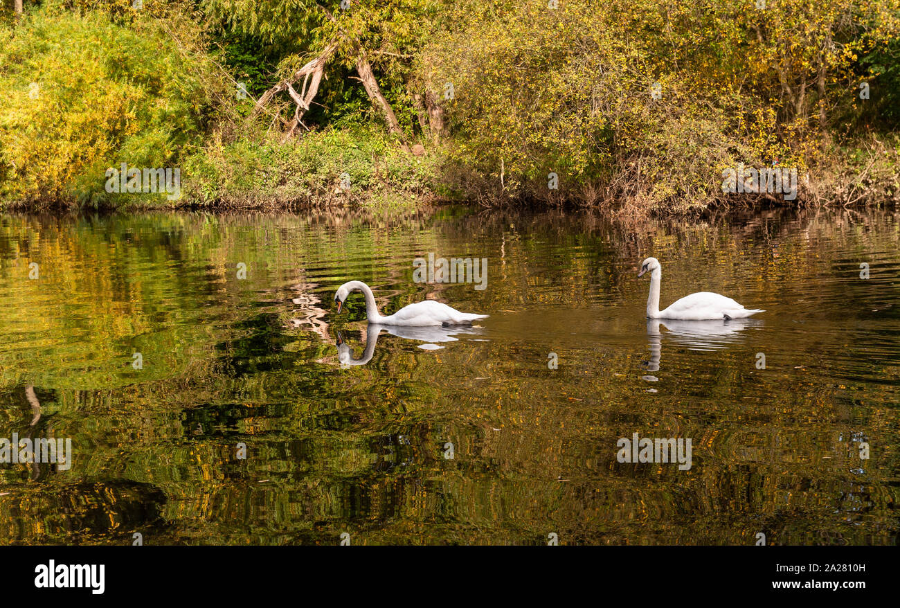 Moment reflective hi-res stock photography and images - Alamy