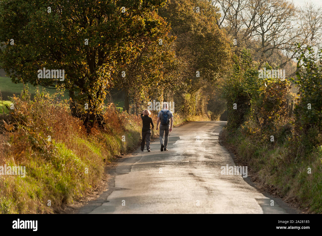 Pathway of health hi-res stock photography and images - Alamy