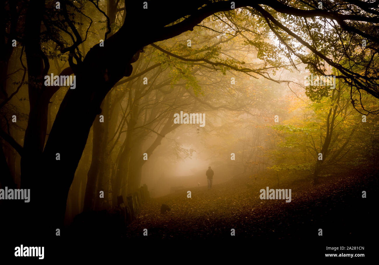 Walking through the mist Stock Photo - Alamy Walking through the mist Stock Photo - Alamy