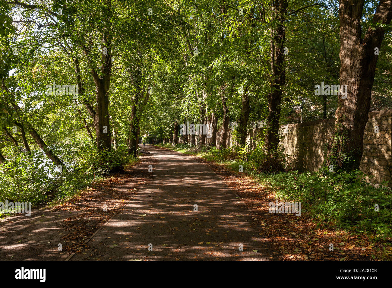 Autumn in Bute Park Stock Photo - Alamy