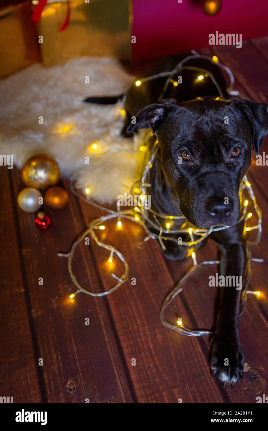 Sitting under tree children hi-res stock photography and images - Alamy