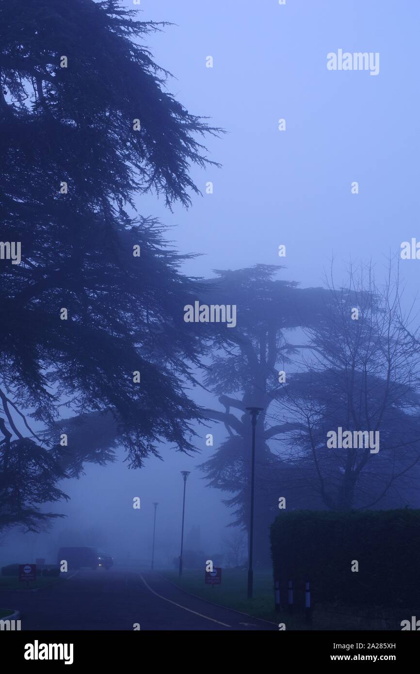 Exeter crematorium hi-res stock photography and images - Alamy