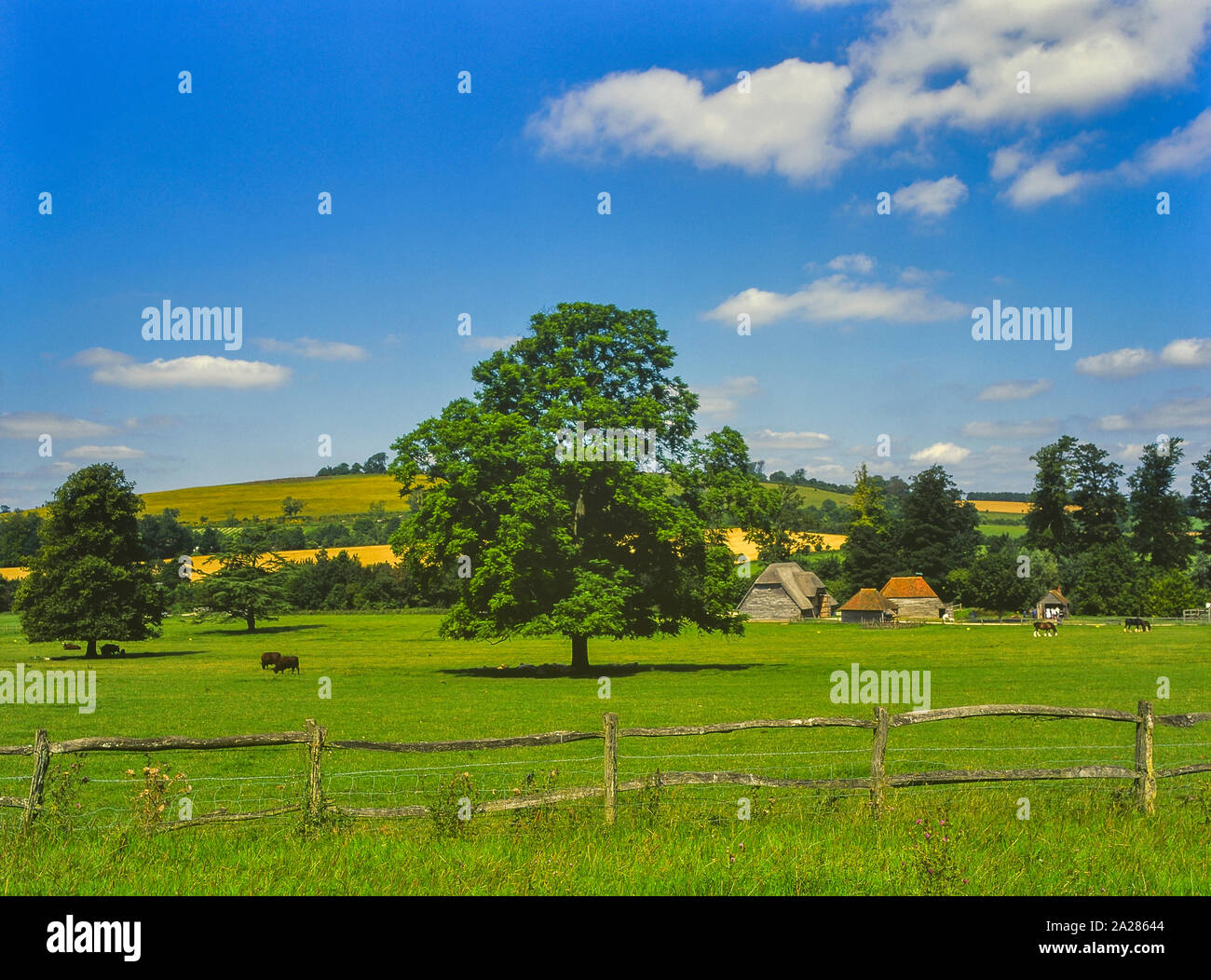 Weald and Downland Living Museum. South Downs. West Sussex. England ...