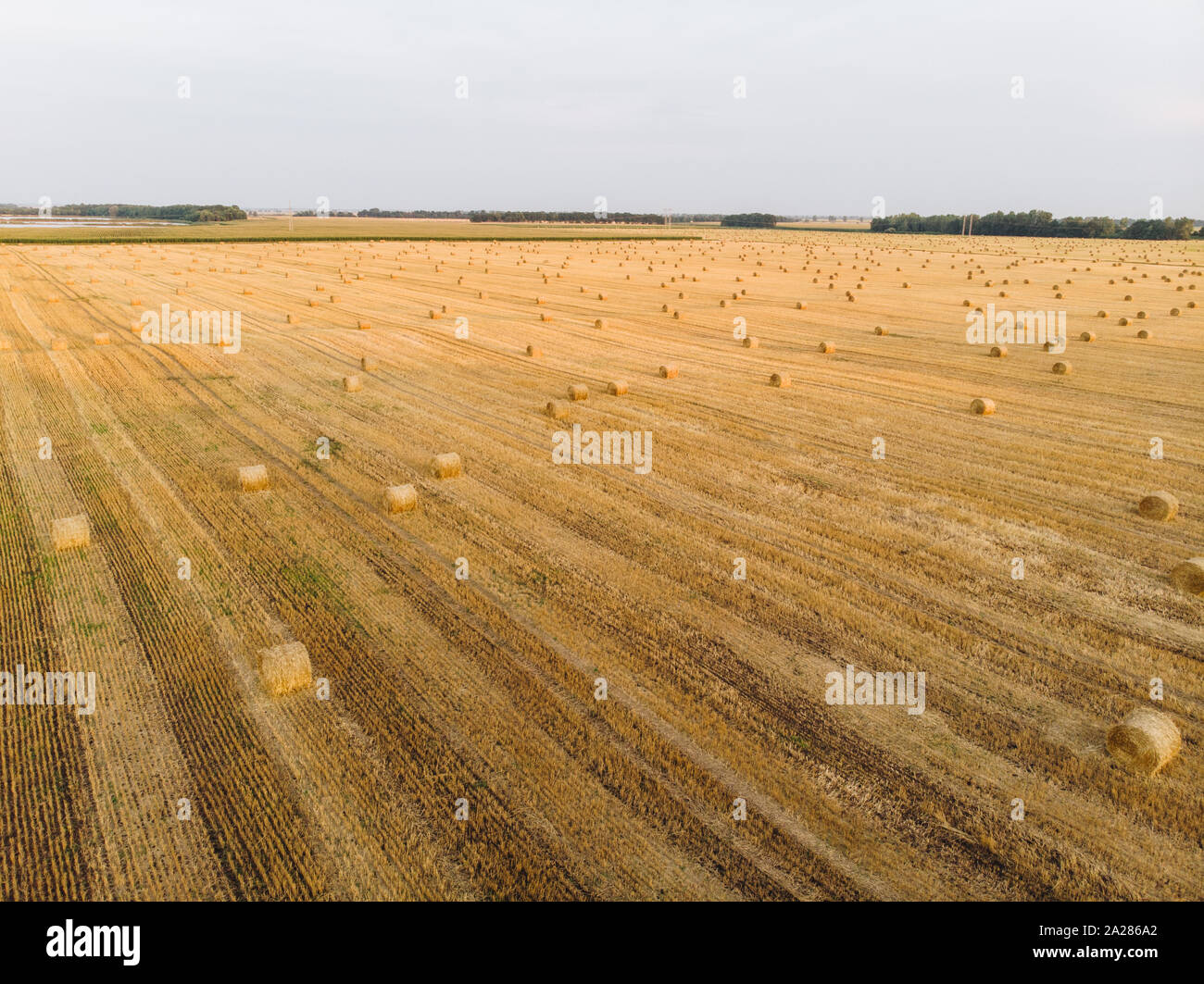 aerial view sunset field harvest autumn time Stock Photo - Alamy