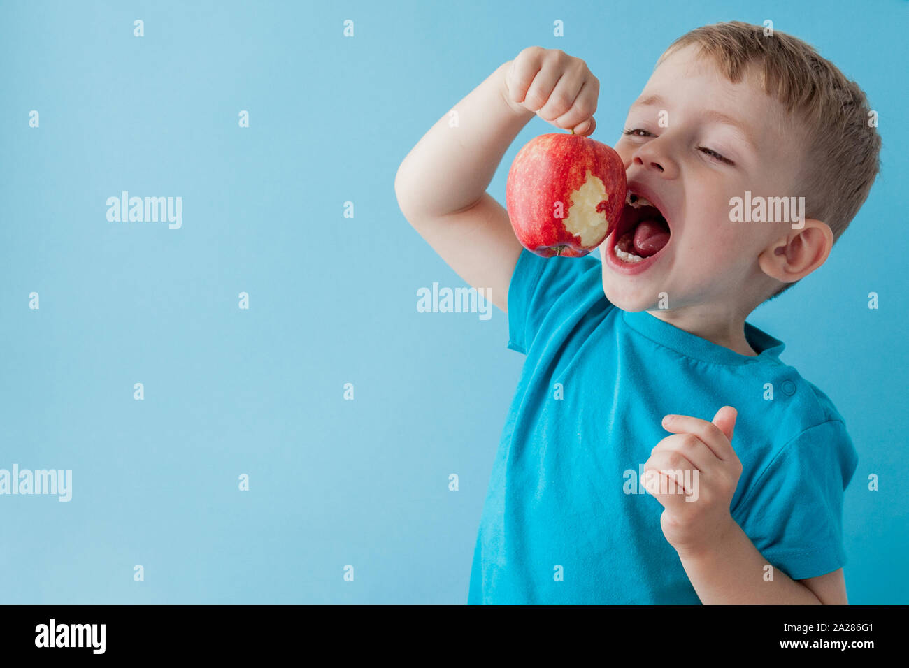 Baby child holding and eating red apple on blue background, food, diet ...