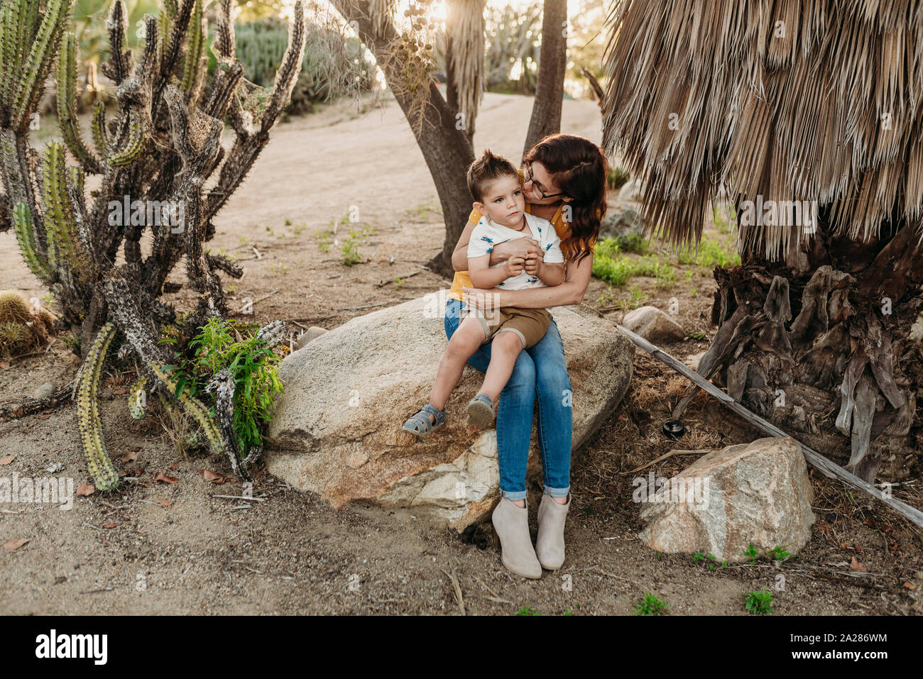 Mother of cactus hi-res stock photography and images - Alamy